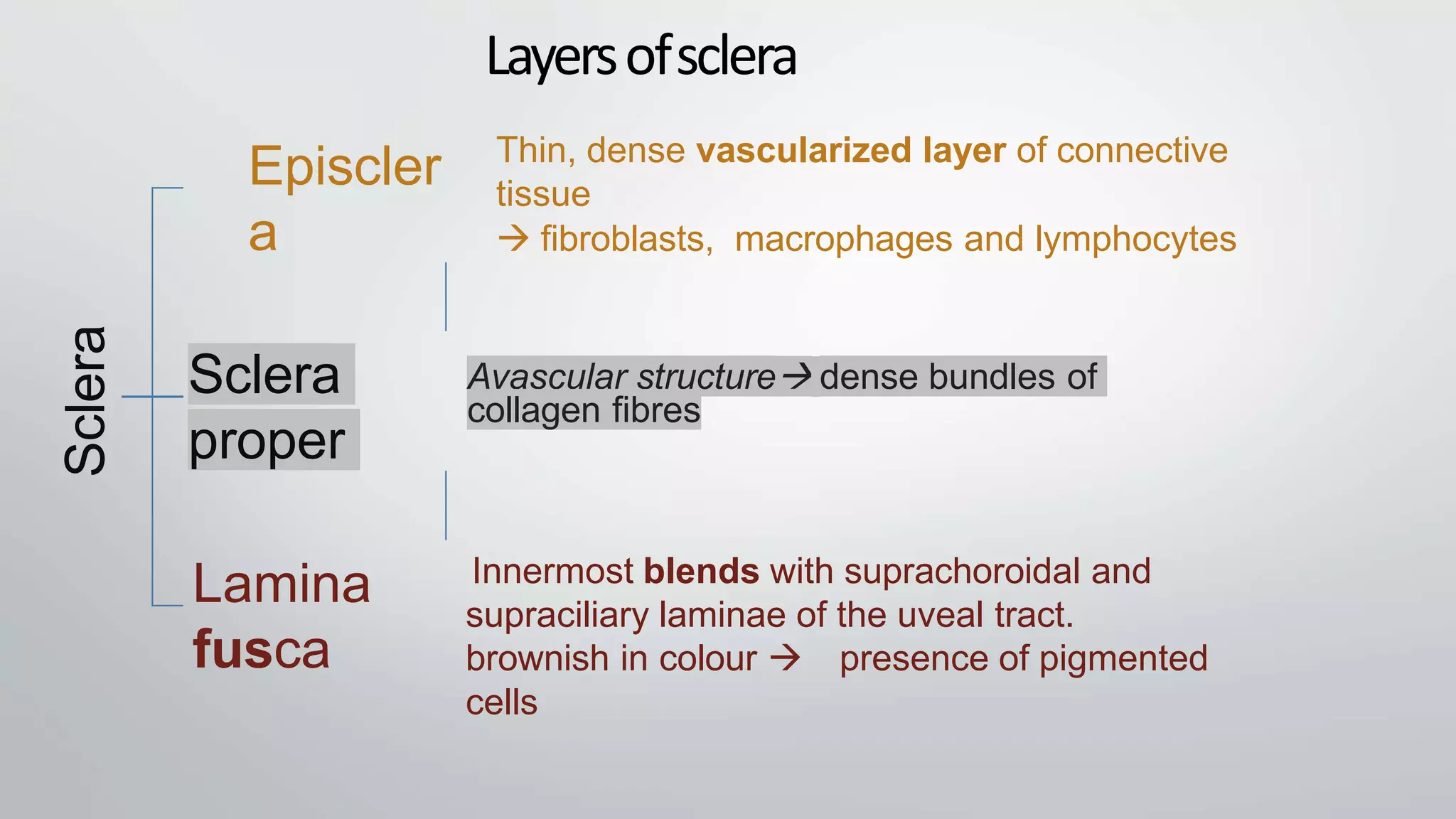 Diseases of sclera | PPTX