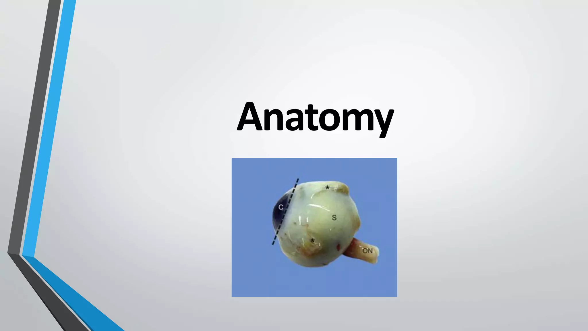 Diseases of sclera | PPTX