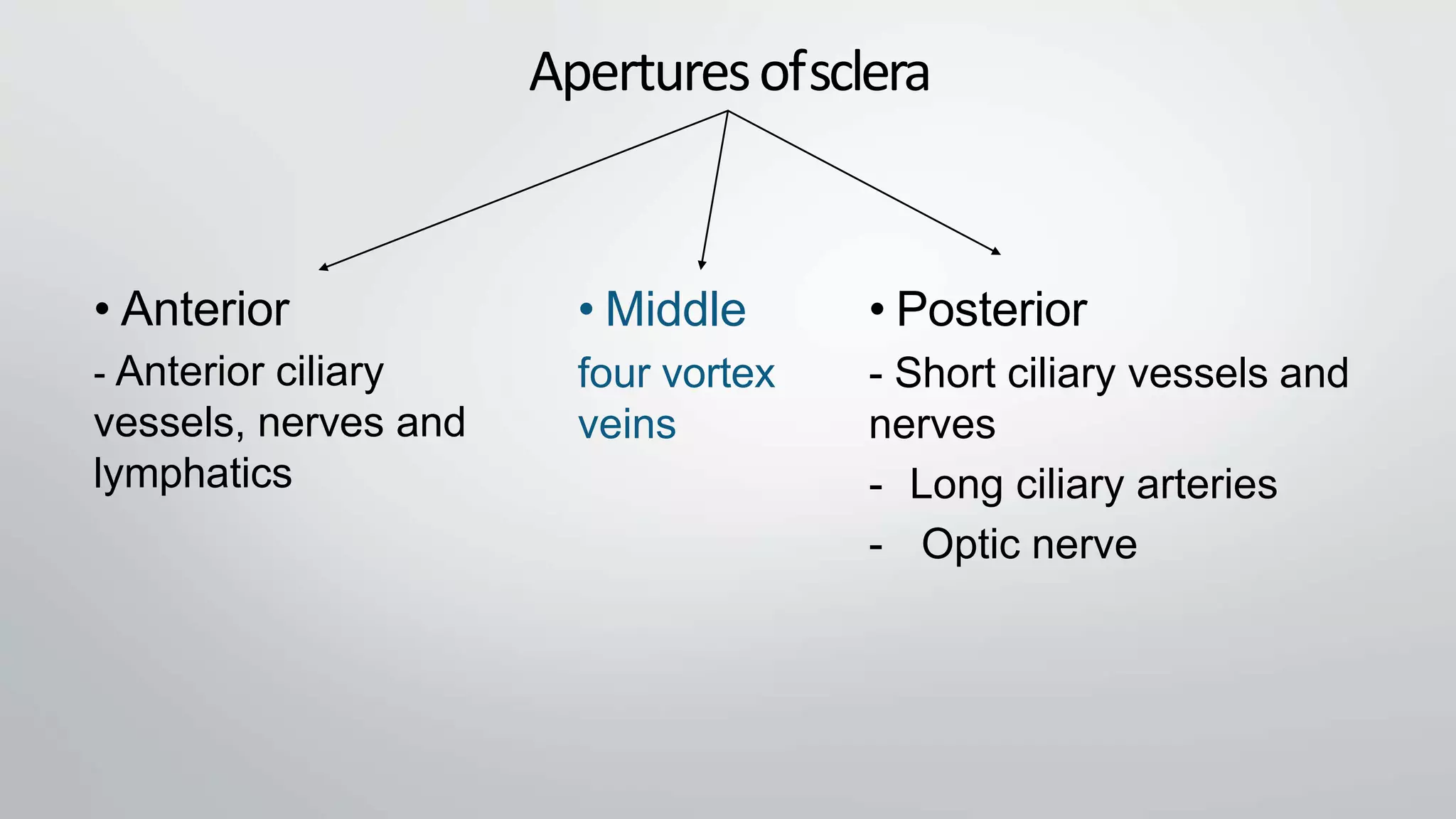 Diseases of sclera | PPTX