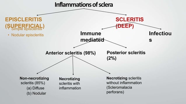 Diseases of sclera | PPTX | Eye and Vision Conditions | Diseases and ...