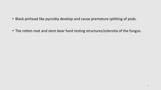 DISEASES OF SESAMUM.pptx
