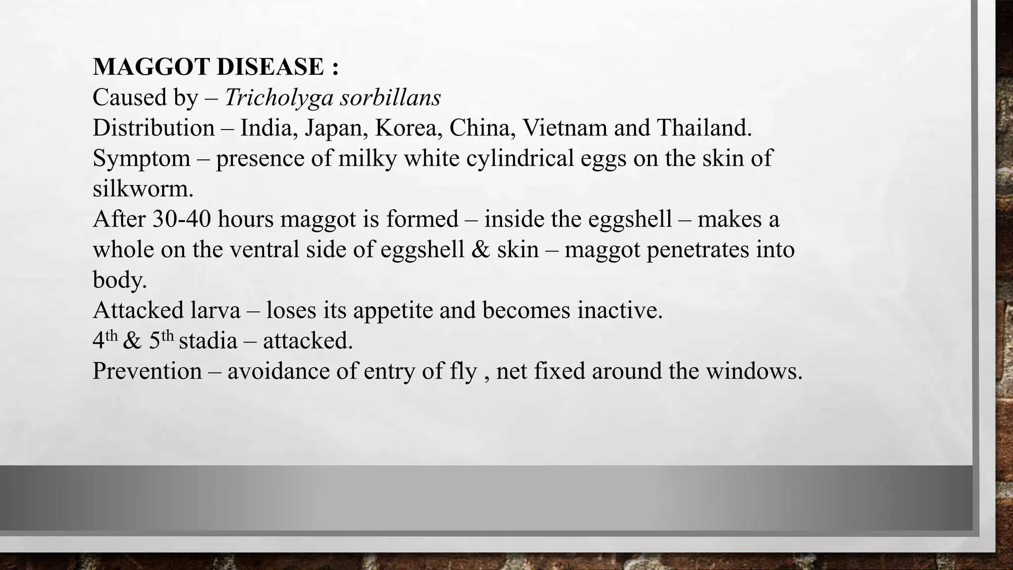 Diseases of silkworm | PPTX