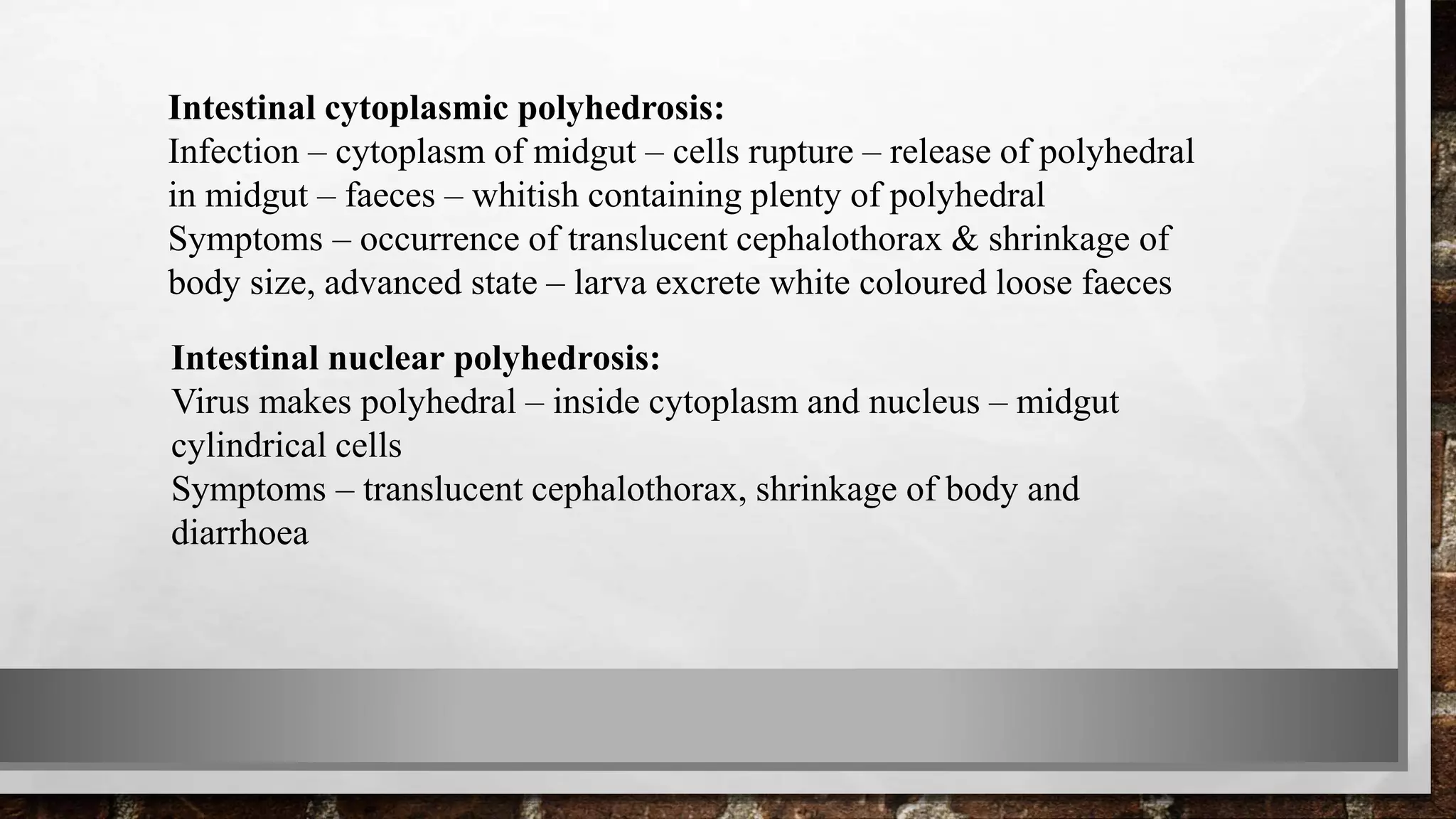Diseases of silkworm | PPTX