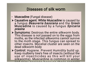 Diseases of Silk Worm in Sericulture ppt.pdf