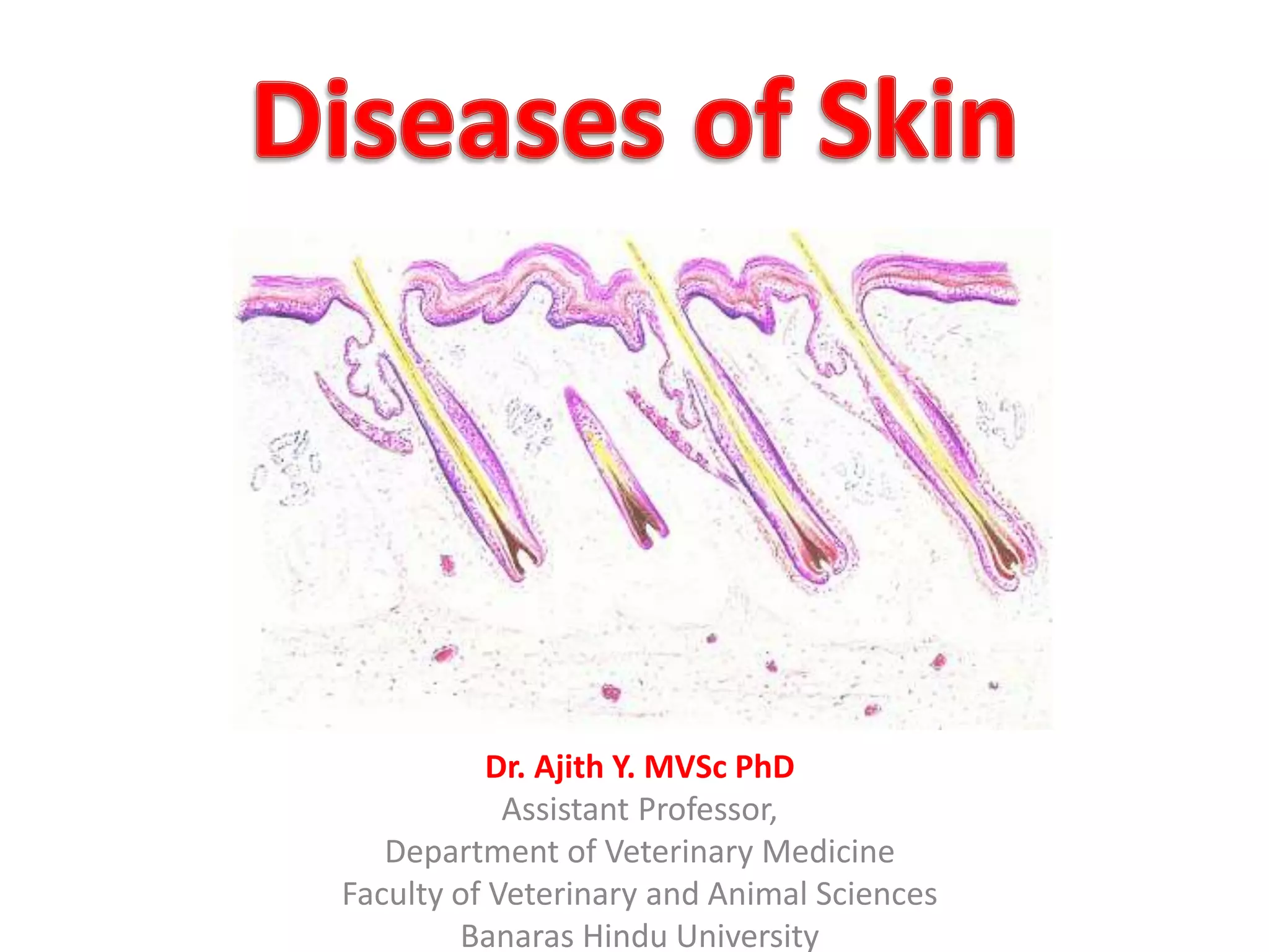 Diseases of skin - Veterinary Dermatology | PPTX