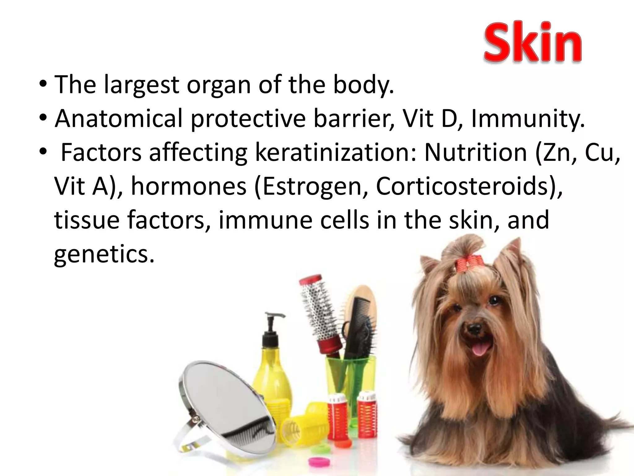 Diseases of skin - Veterinary Dermatology | PPTX