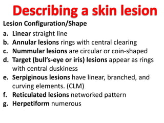 Diseases of skin - Veterinary Dermatology | PPTX