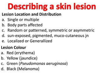 Diseases of skin - Veterinary Dermatology | PPTX