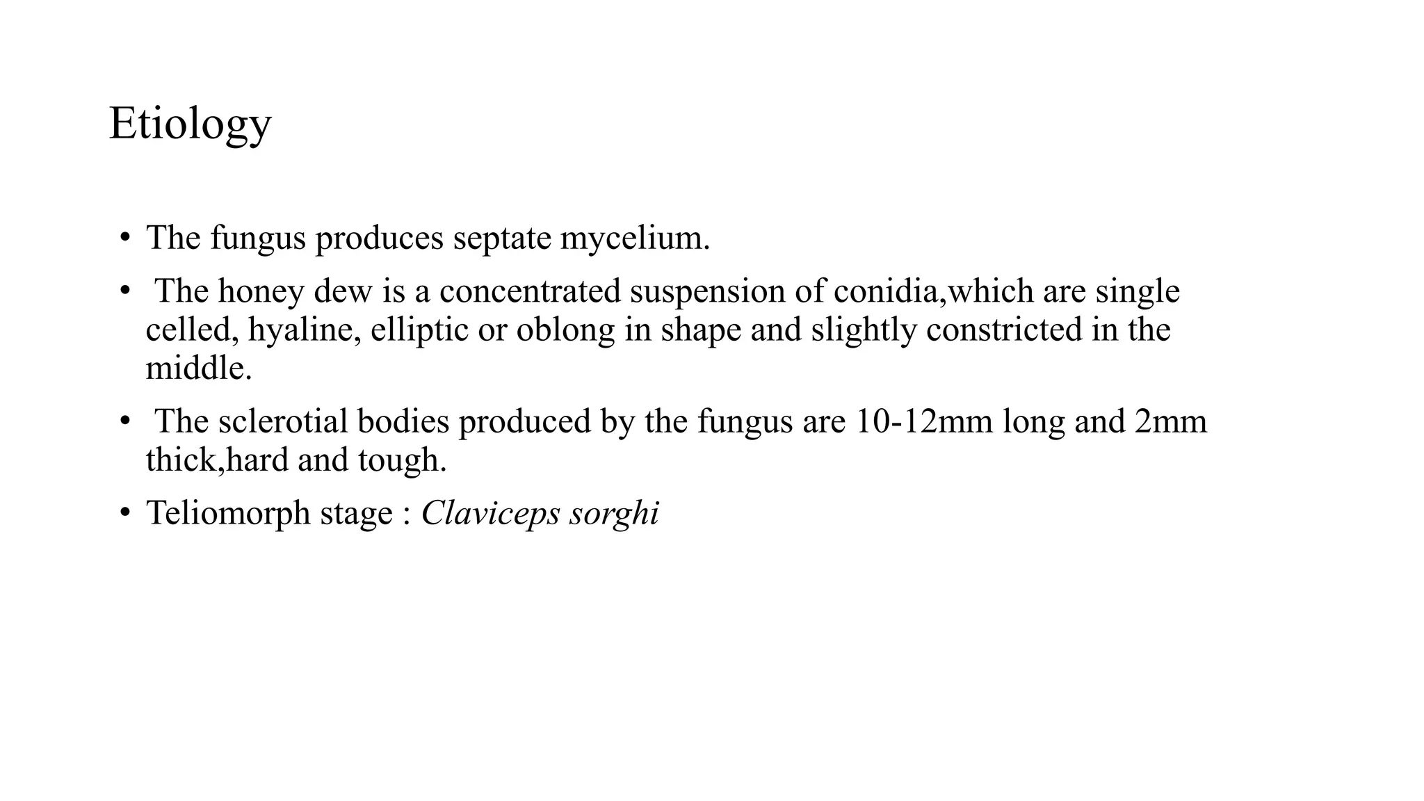 Diseases of sorghum | PPTX