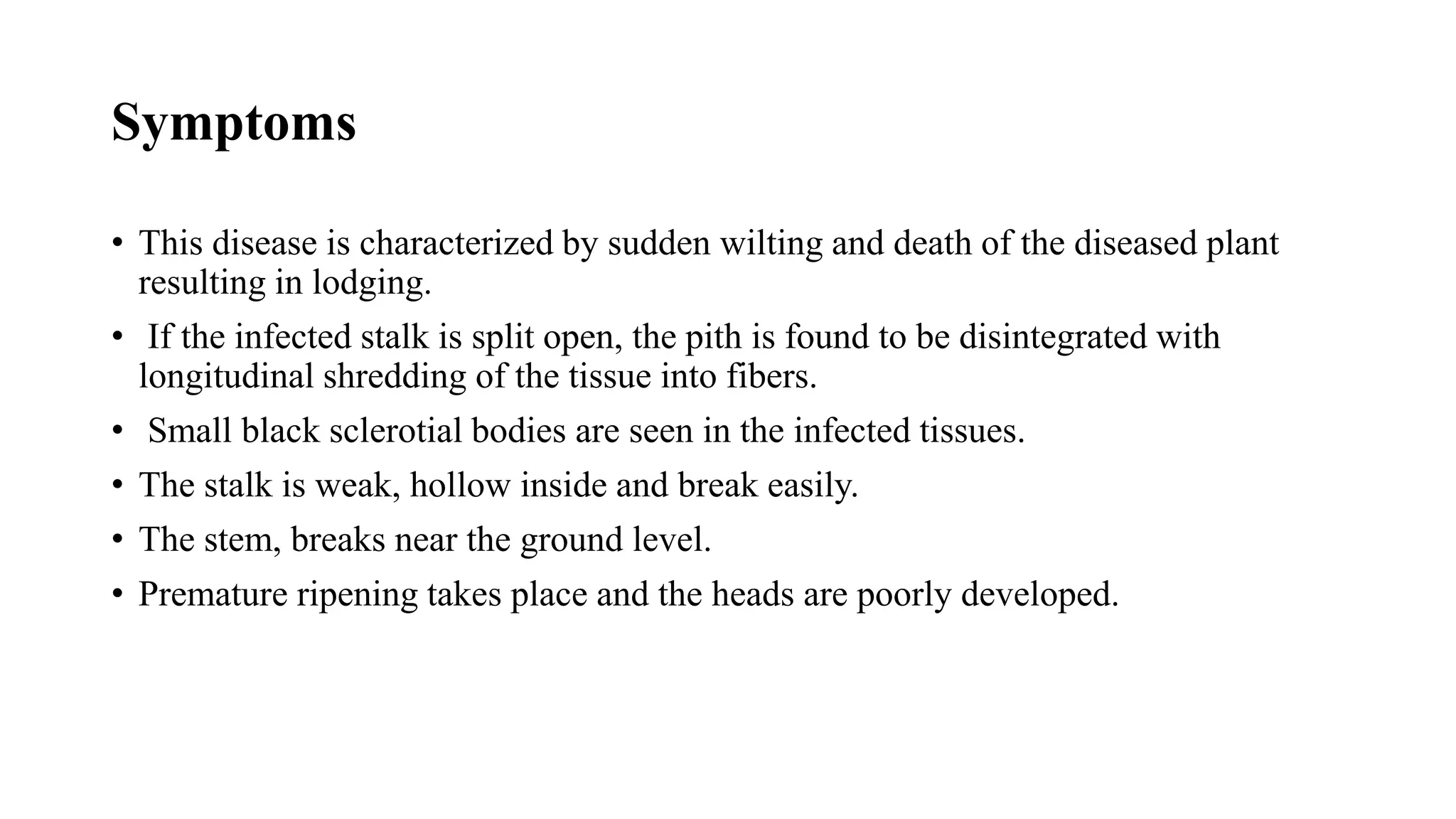 Diseases of sorghum | PPTX
