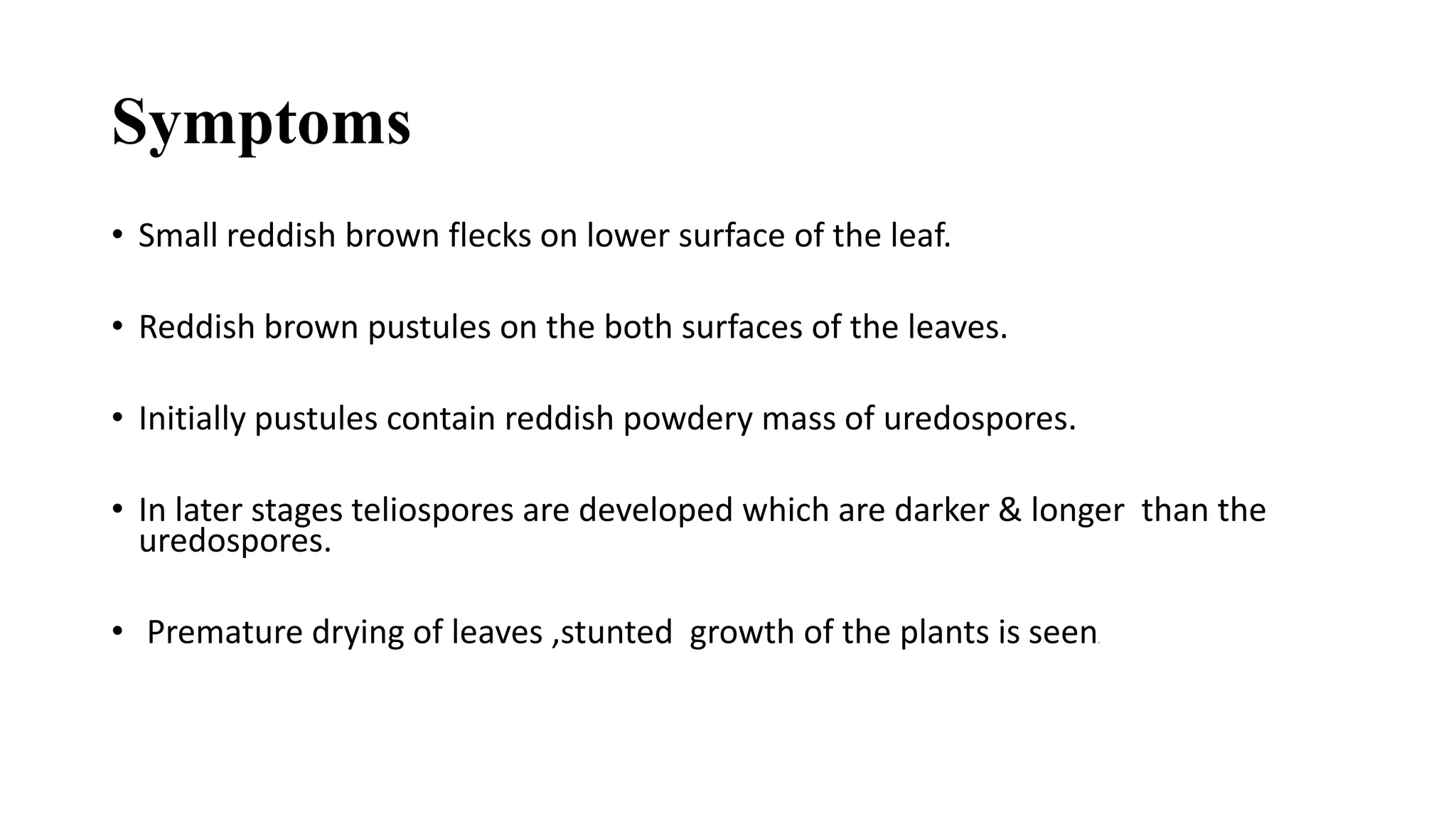 Diseases of sorghum | PPTX
