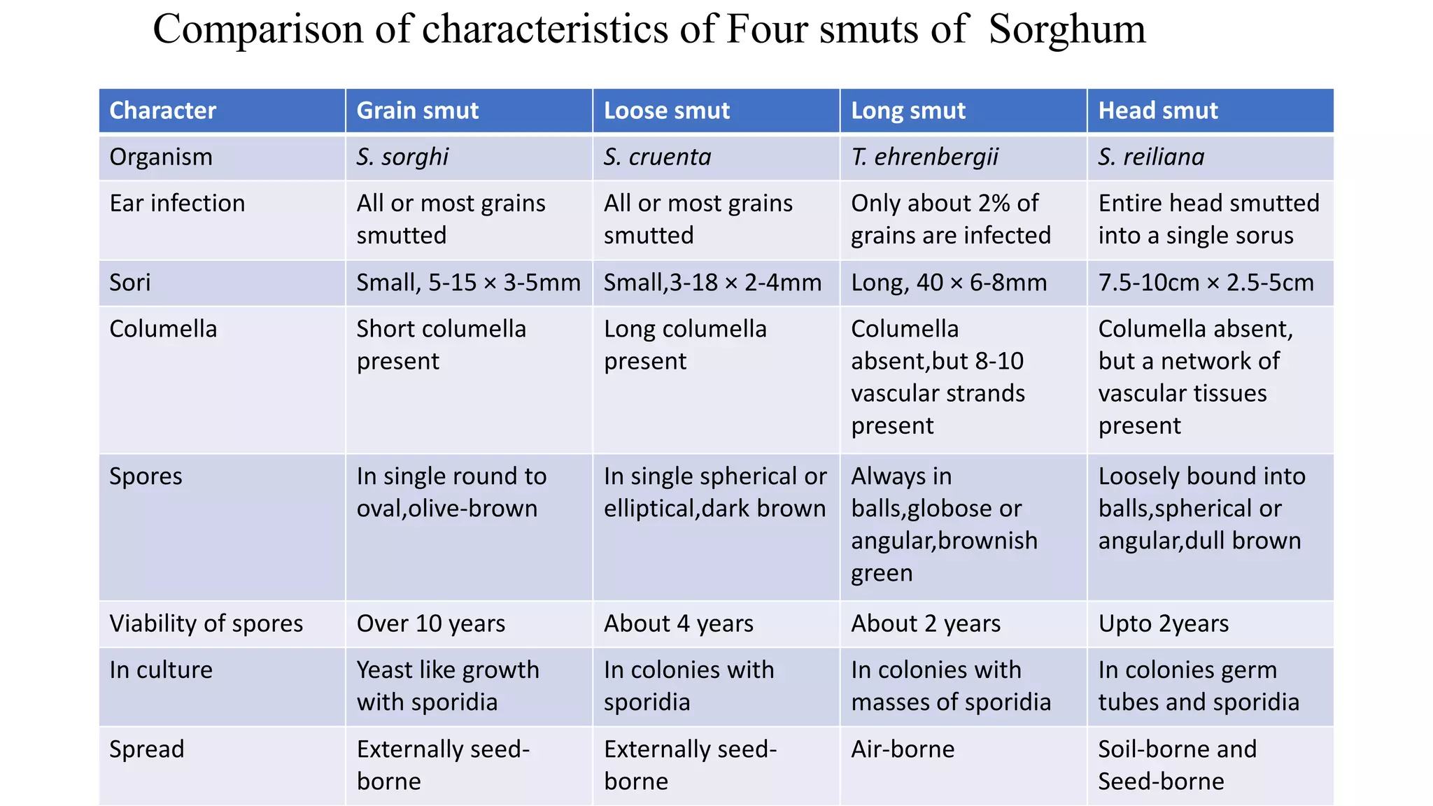 Diseases of sorghum | PPTX