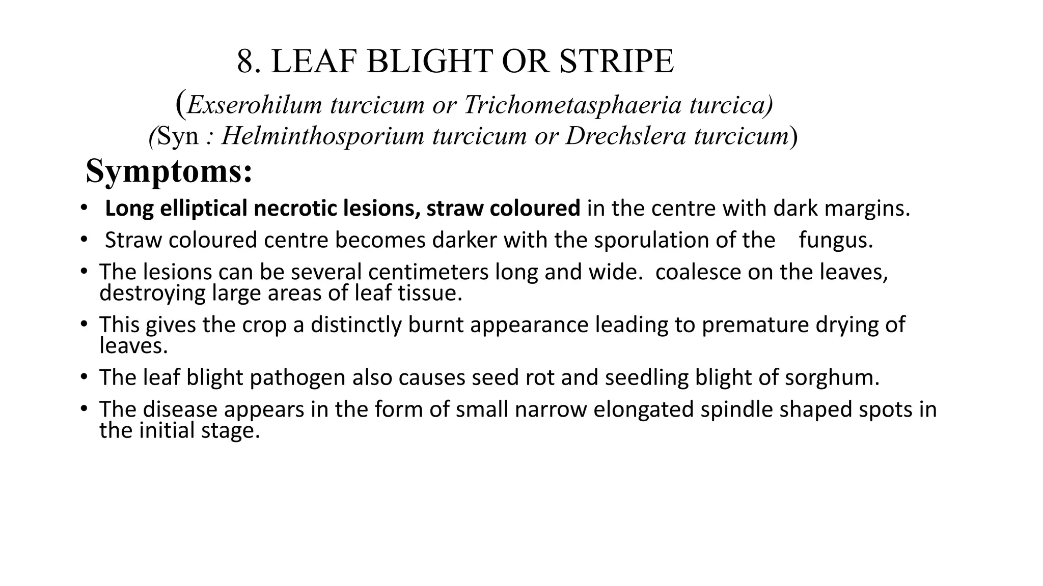 Diseases of sorghum | PPTX