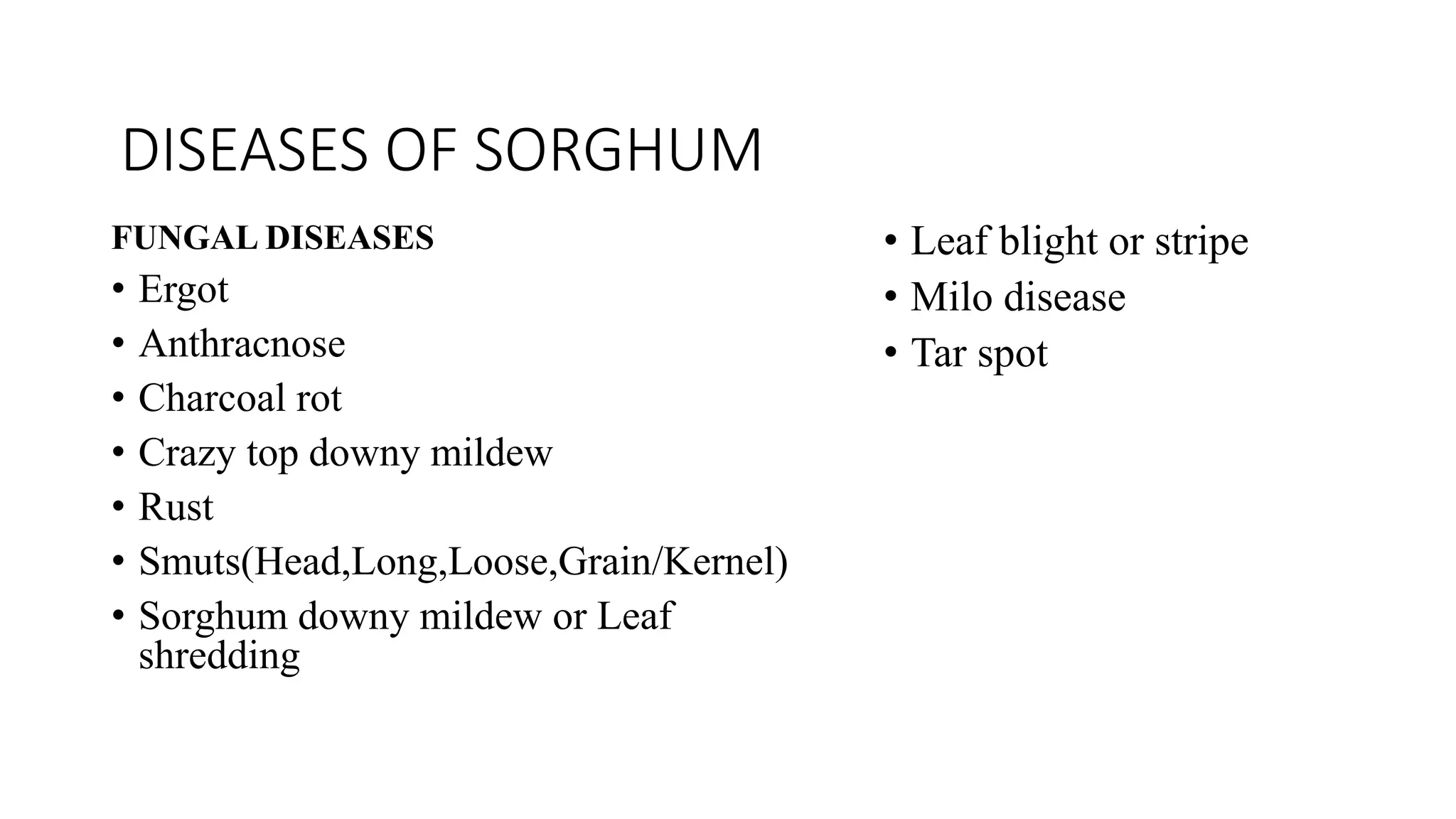 Diseases of sorghum | PPTX