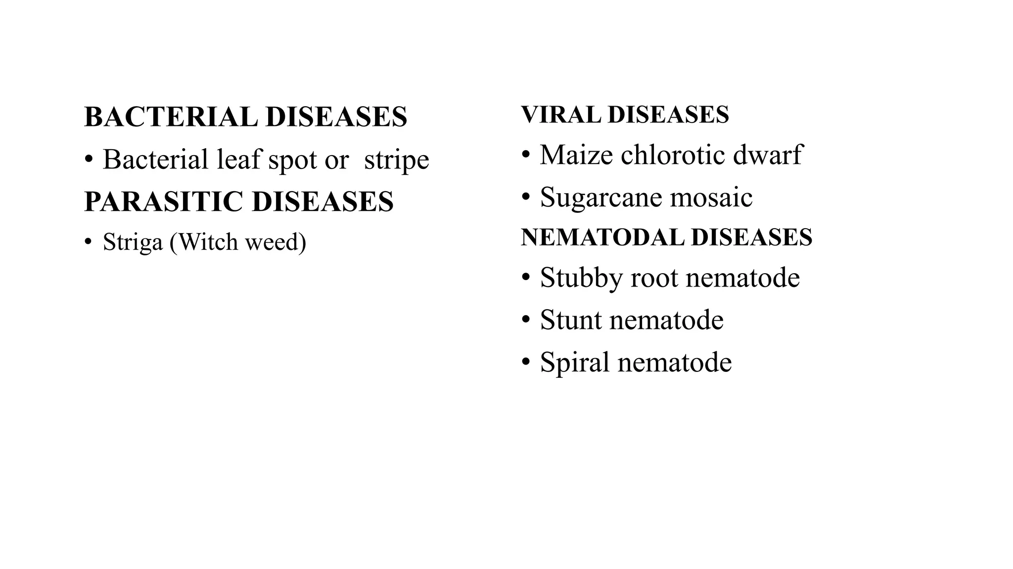 Diseases of sorghum | PPTX