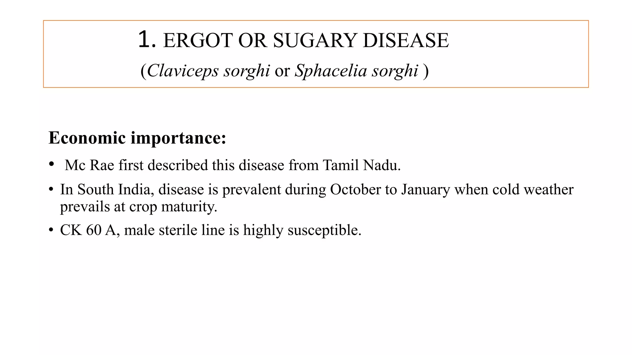 Diseases of sorghum | PPTX