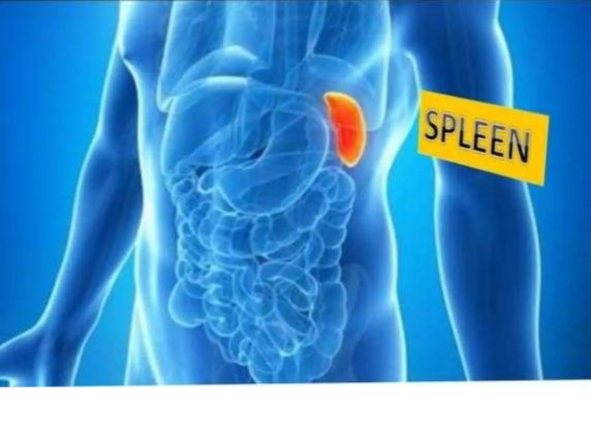 Diseases of Spleen, treatment with surgical treatment | PPTX