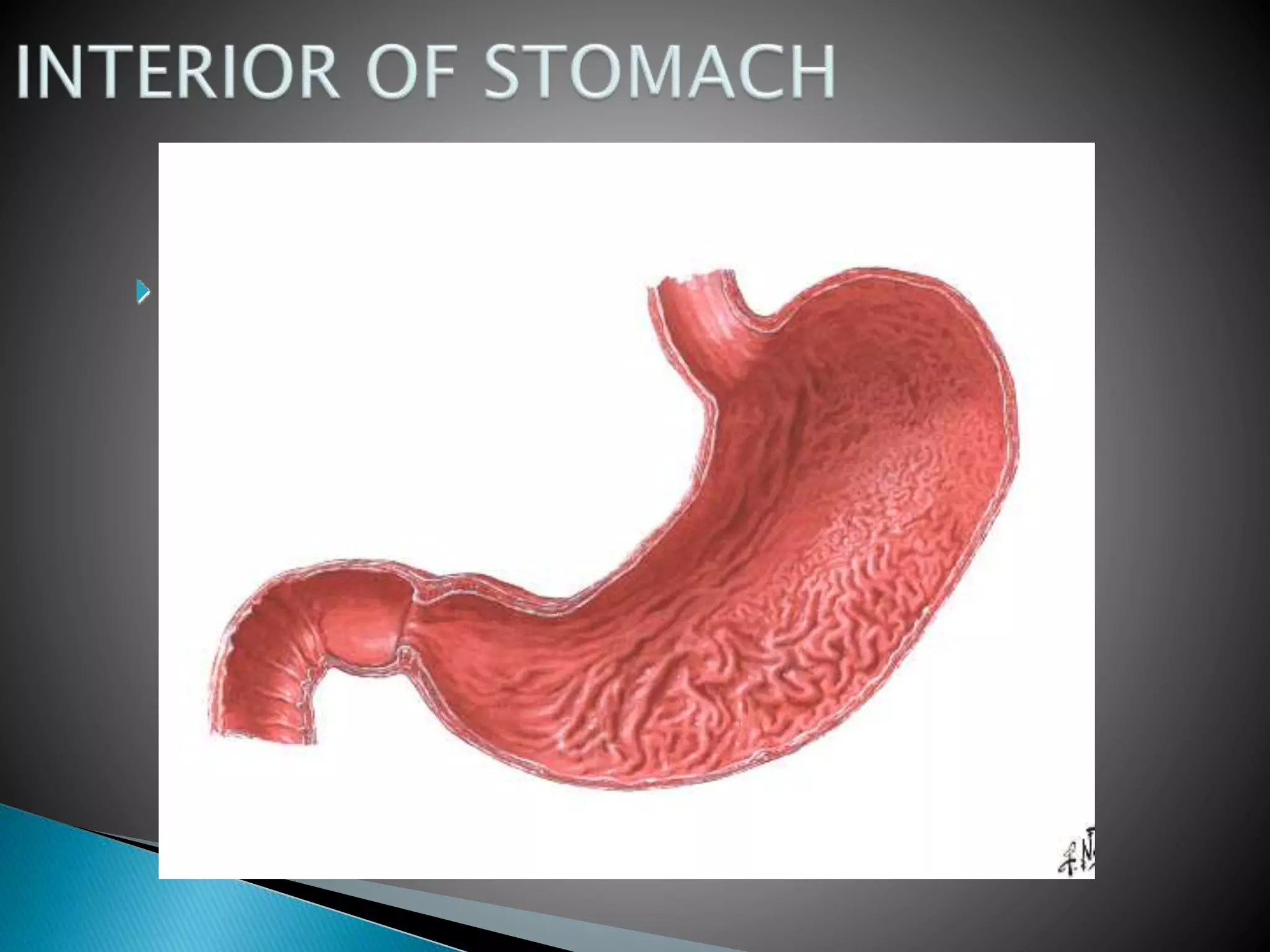Diseases of stomuch 1.pptx
