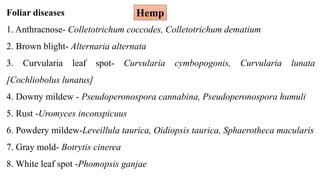 Diseases of stone fruits and medicinal plants.pdf