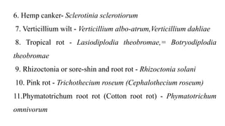 Diseases of stone fruits and medicinal plants.pdf