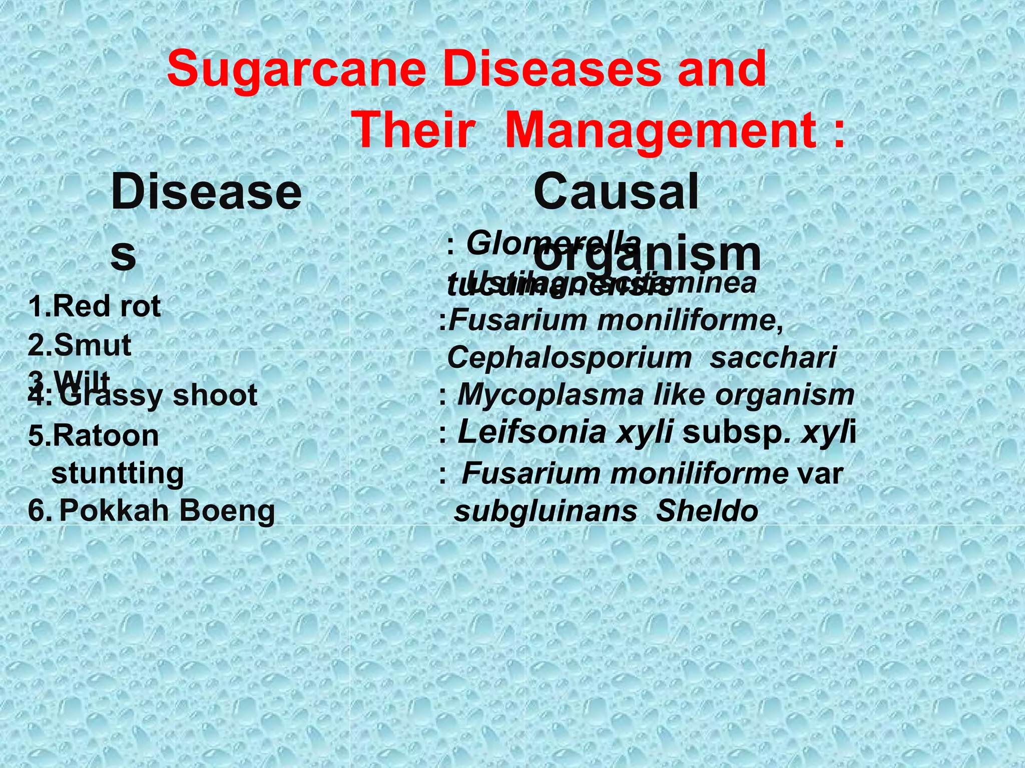 Diseases of Sugarcane | PPTX