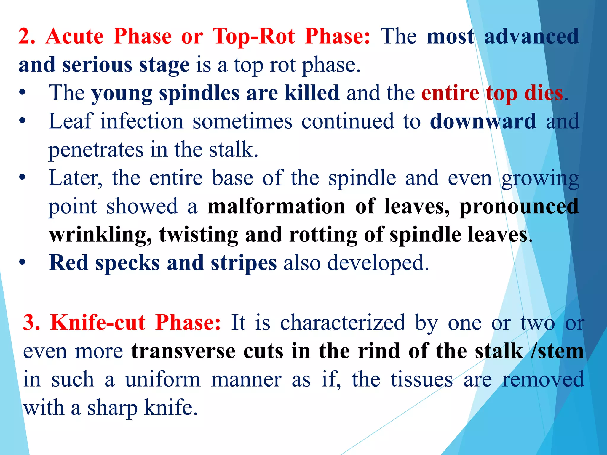 Diseases of sugarcane and their management | PPTX