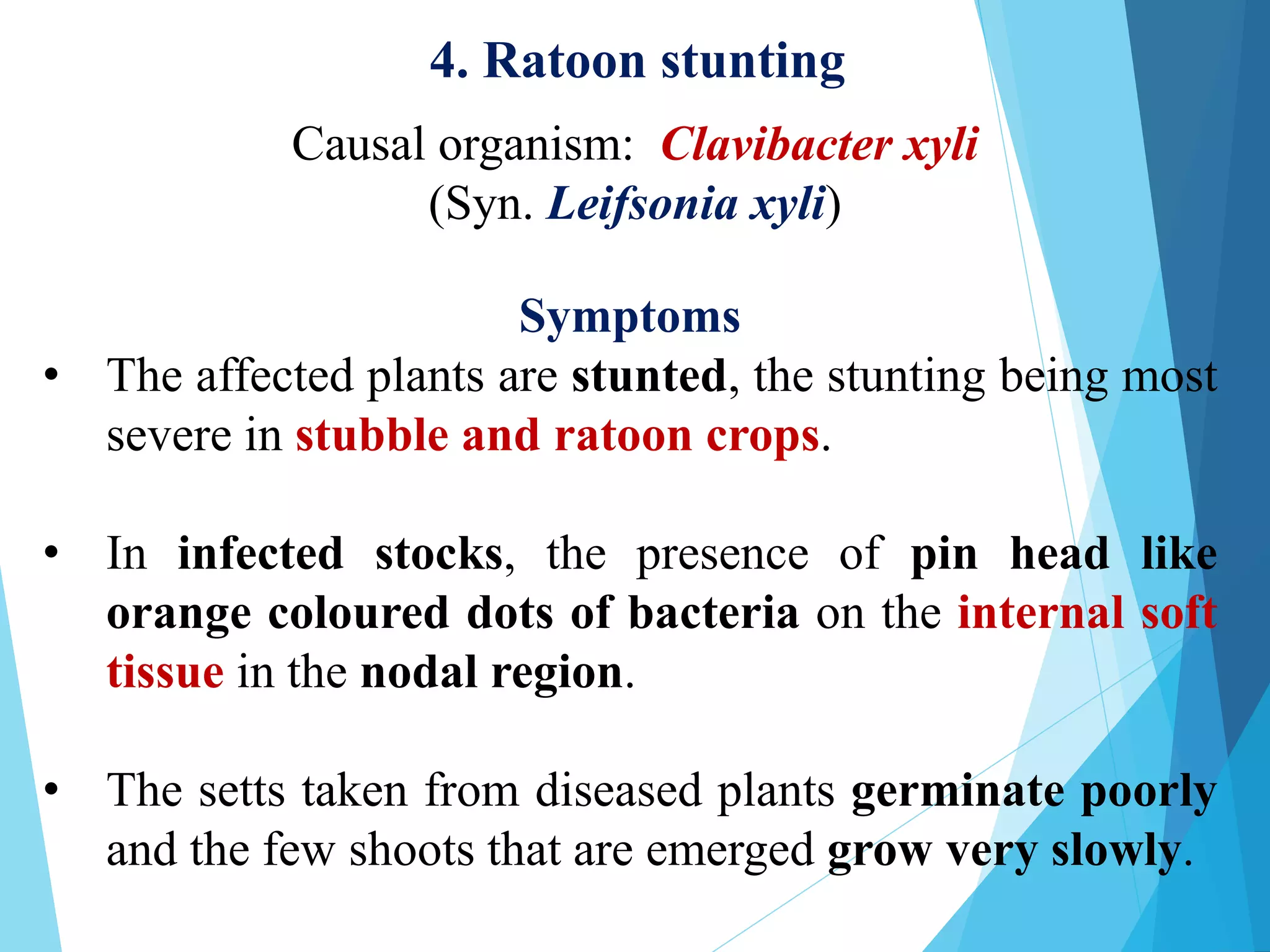Diseases of sugarcane and their management | PPTX