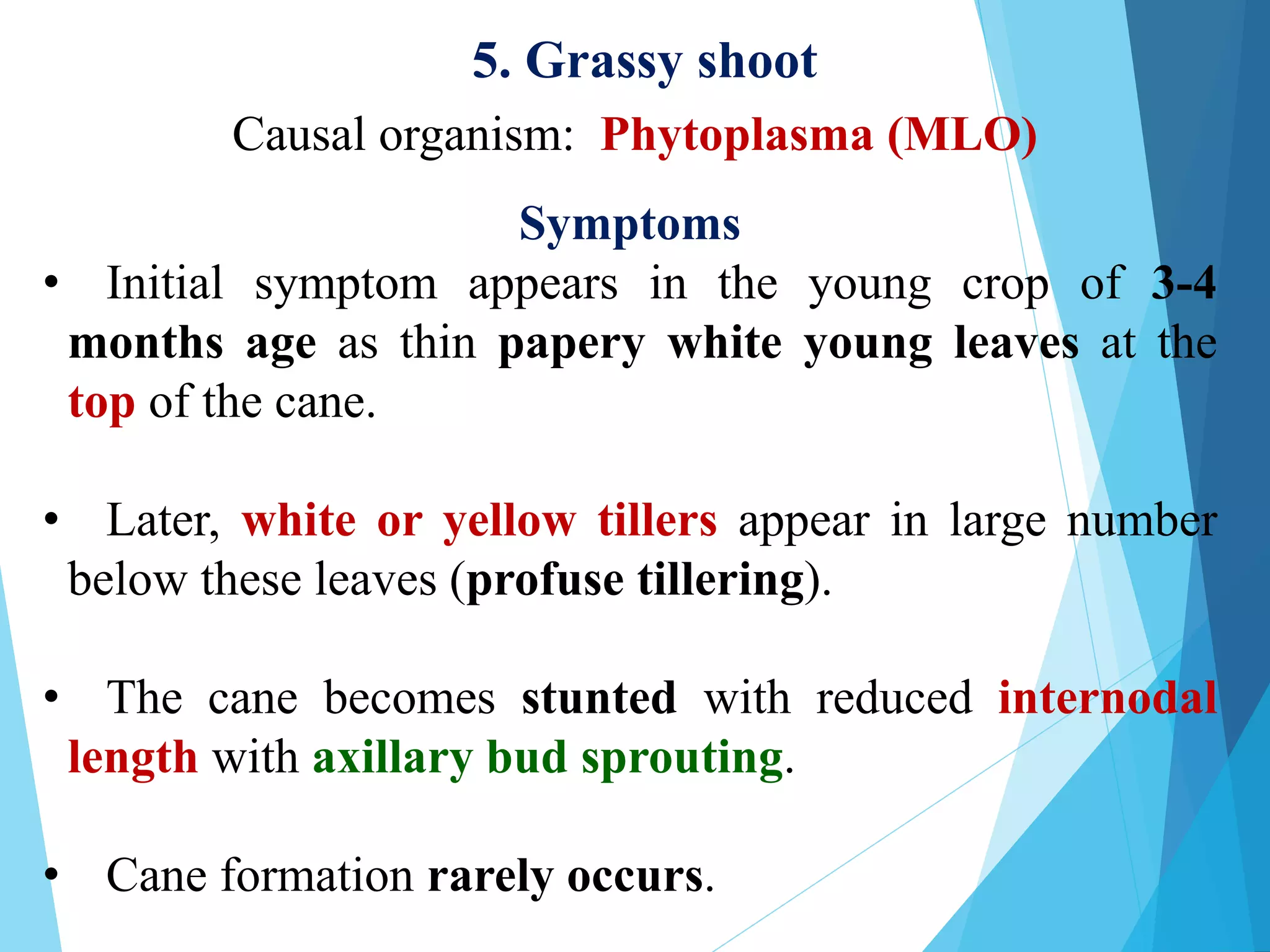 Diseases of sugarcane and their management | PPTX