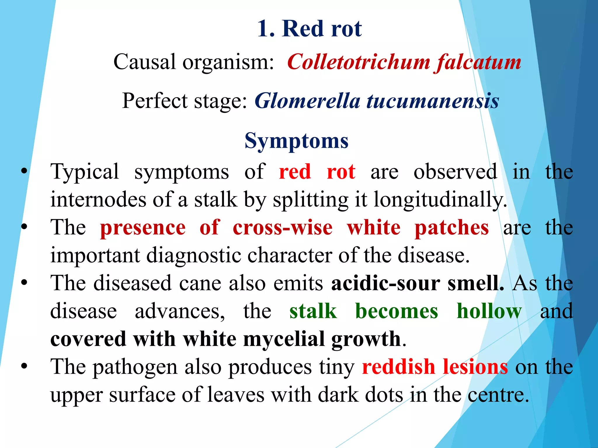 Diseases of sugarcane and their management | PPTX