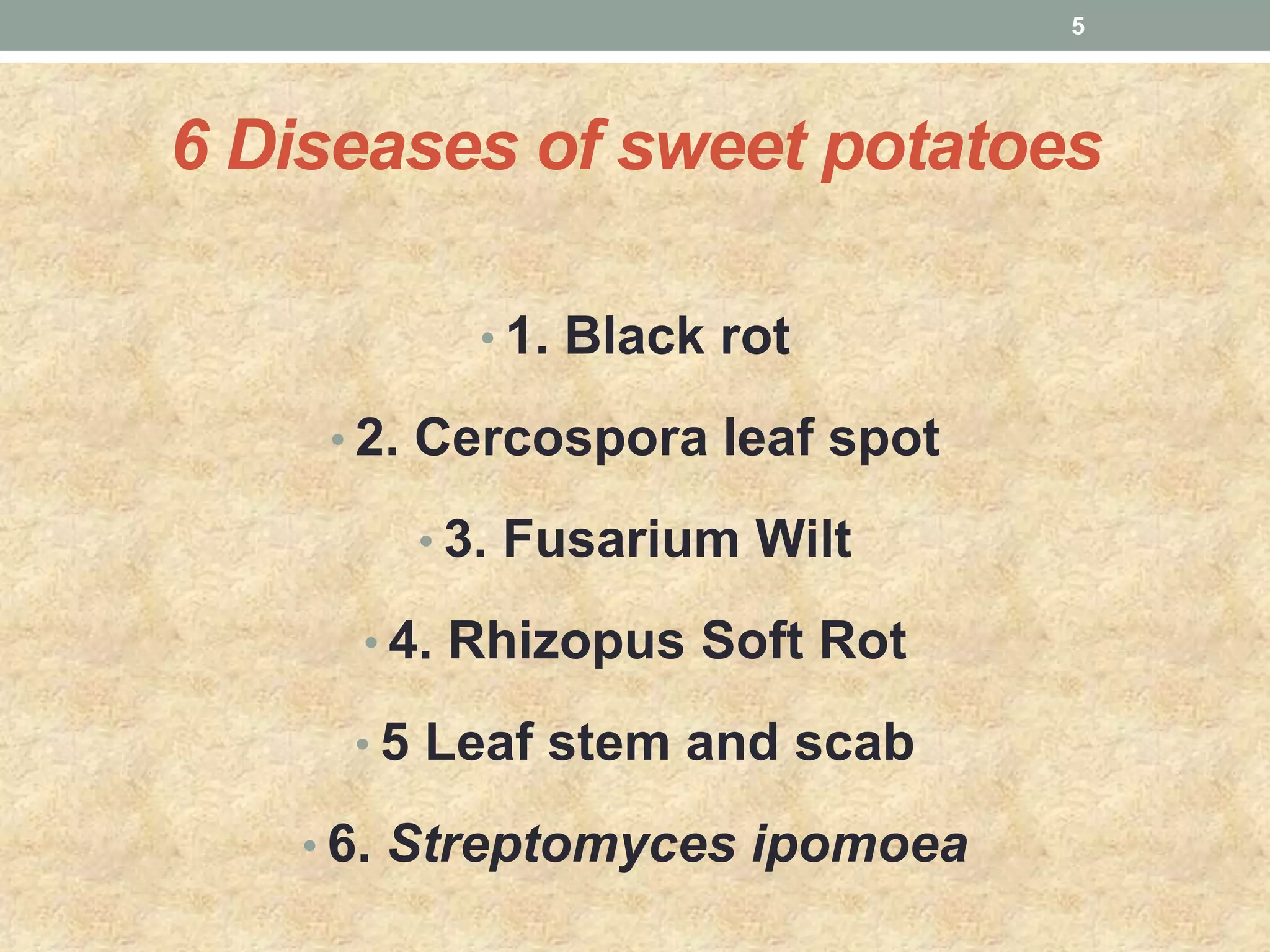 Diseases Of Sweet Potatoes Ppt
