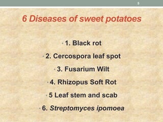 Diseases of sweet potatoes | PPTX