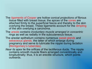 Diseases of the breast | PPT