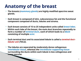 DISEASES OF THE BREAST and their management | PPTX