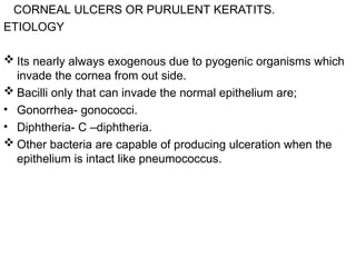 DISEASES OF THE CORNEA AND SCLERA..ppreset | PPT
