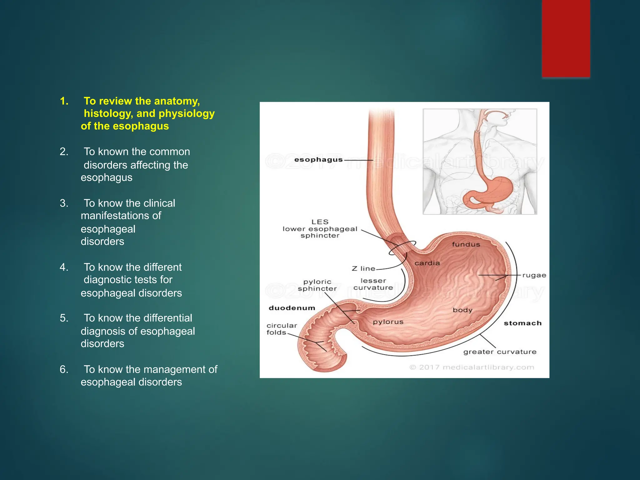 Diseases of the Esophagus by Gabriel MD. | PDF