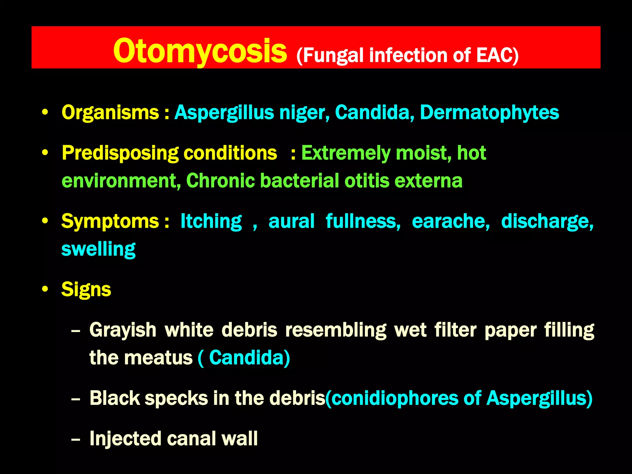 Diseases of the External Ear.ppt