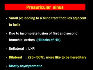 Diseases of the External Ear.ppt