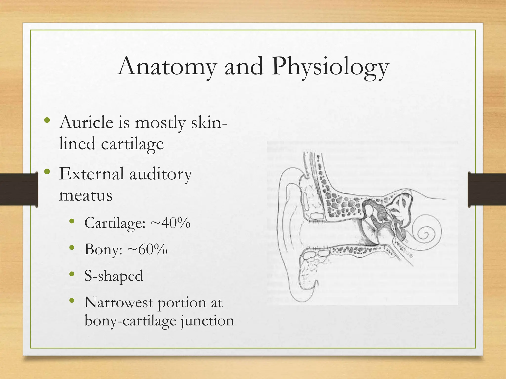 Diseases of the external ear and anatomy of the ear | PPT
