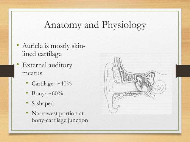 Diseases of the external ear and anatomy of the ear | PPT