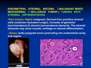 Diseases of the female genital tract | PPTX