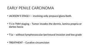DISEASES OF THE FORESKIN and their management | PPTX