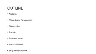 DISEASES OF THE FORESKIN and their management | PPTX