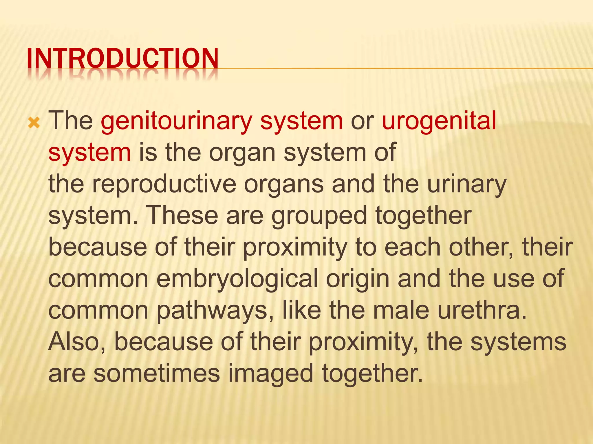 Diseases of the genitourinary system | PPTX