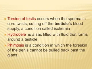 Diseases of the genitourinary system | PPTX