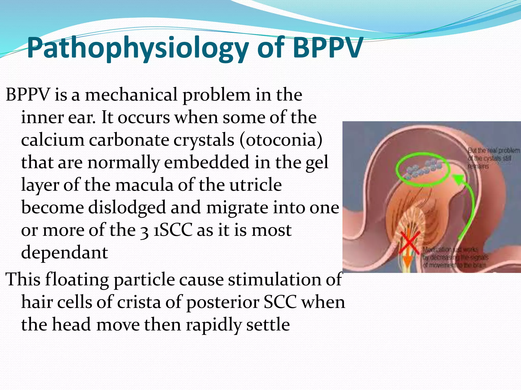 Diseases of the inner ear | PPTX