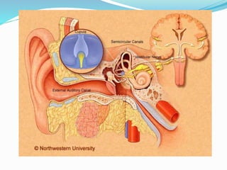 Diseases of the inner ear | PPTX