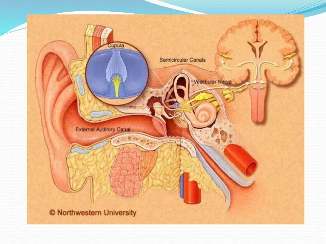 Diseases of the inner ear