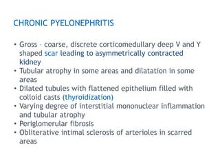 Diseases of the kidney | PPTX