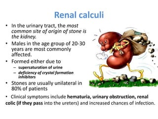 Diseases of the kidney | PPTX