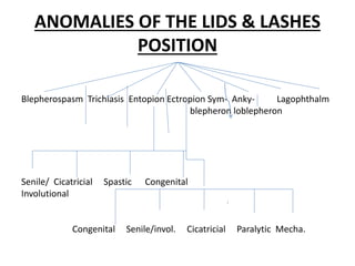DISEASES OF THE LIDS---pptx | PPTX
